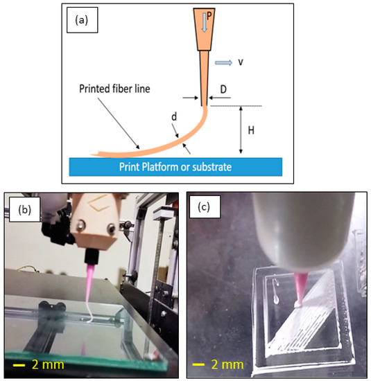 Rheological Behavior and Printability Study of Tri-Calcium Phosphate ...