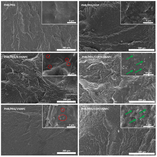 Fine Tuning of the Mechanical Properties of Bio-Based PHB ...
