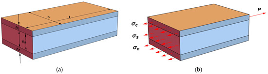 Elastic Modulus of a Carbonized Layer on Polyurethane Treated by Ion-Plasma