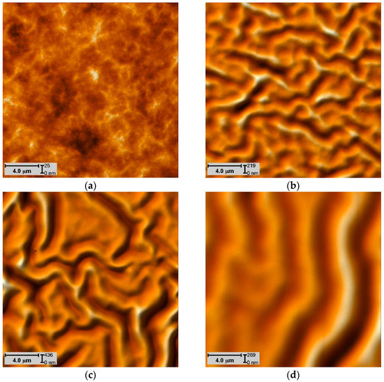 Elastic Modulus of a Carbonized Layer on Polyurethane Treated by Ion-Plasma