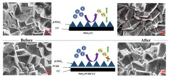 Fabrication of PbO2/PVDF/CC Composite and Employment for the Removal of ...