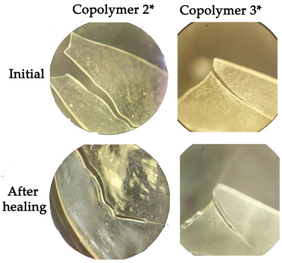 New Self-Healing Metallosupramolecular Copolymers with a Complex of ...