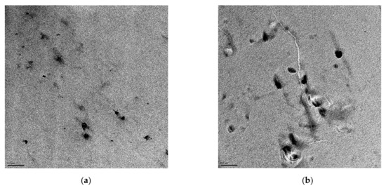 The β Form in PVDF Nanocomposites with Carbon Nanotubes: Structural ...