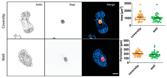 PLA 3D Printing as a Straightforward and Versatile Fabrication Method ...