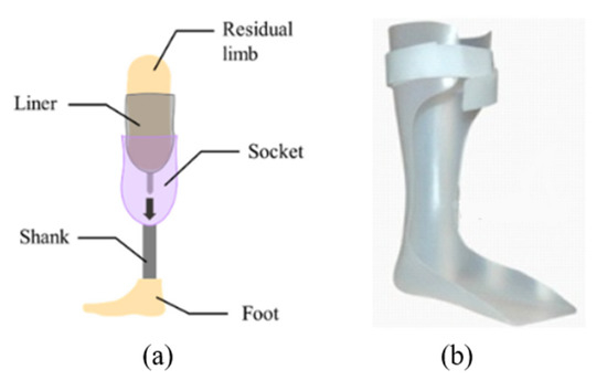 Polymer-Based Additive Manufacturing for Orthotic and Prosthetic Devices: Industry Outlook in Canada