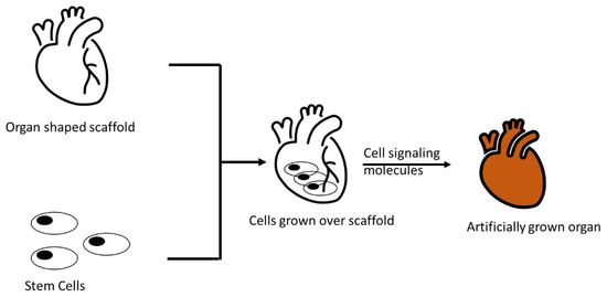 Scaffold Using Chitosan, Agarose, Cellulose, Dextran and Protein for ...