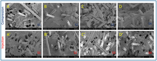 Polymer Waste-Based Highly Efficient Maleated Interfacial Modifier in ...