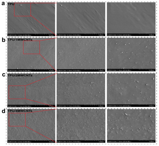 Preparation of Thermoplastic Polyurethane/Multi-Walled Carbon Nanotubes ...
