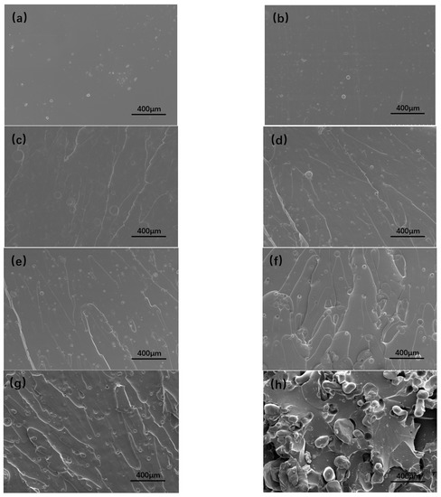 Study on GAP Adhesive-Based Polymer Films, Energetic Polymer Composites ...