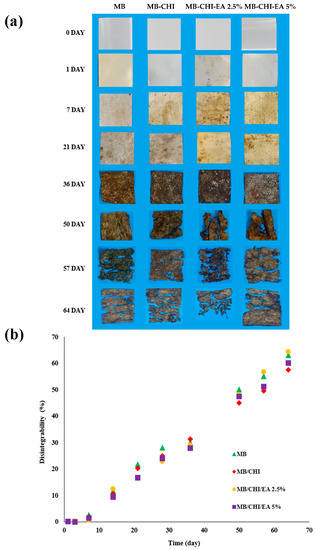 Processing, Characterization and Disintegration Properties of ...
