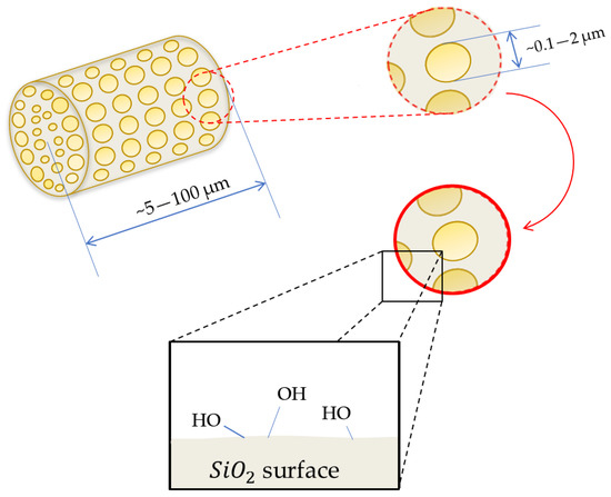 Polyamide 11 Composites Reinforced with Diatomite Biofiller—Mechanical ...