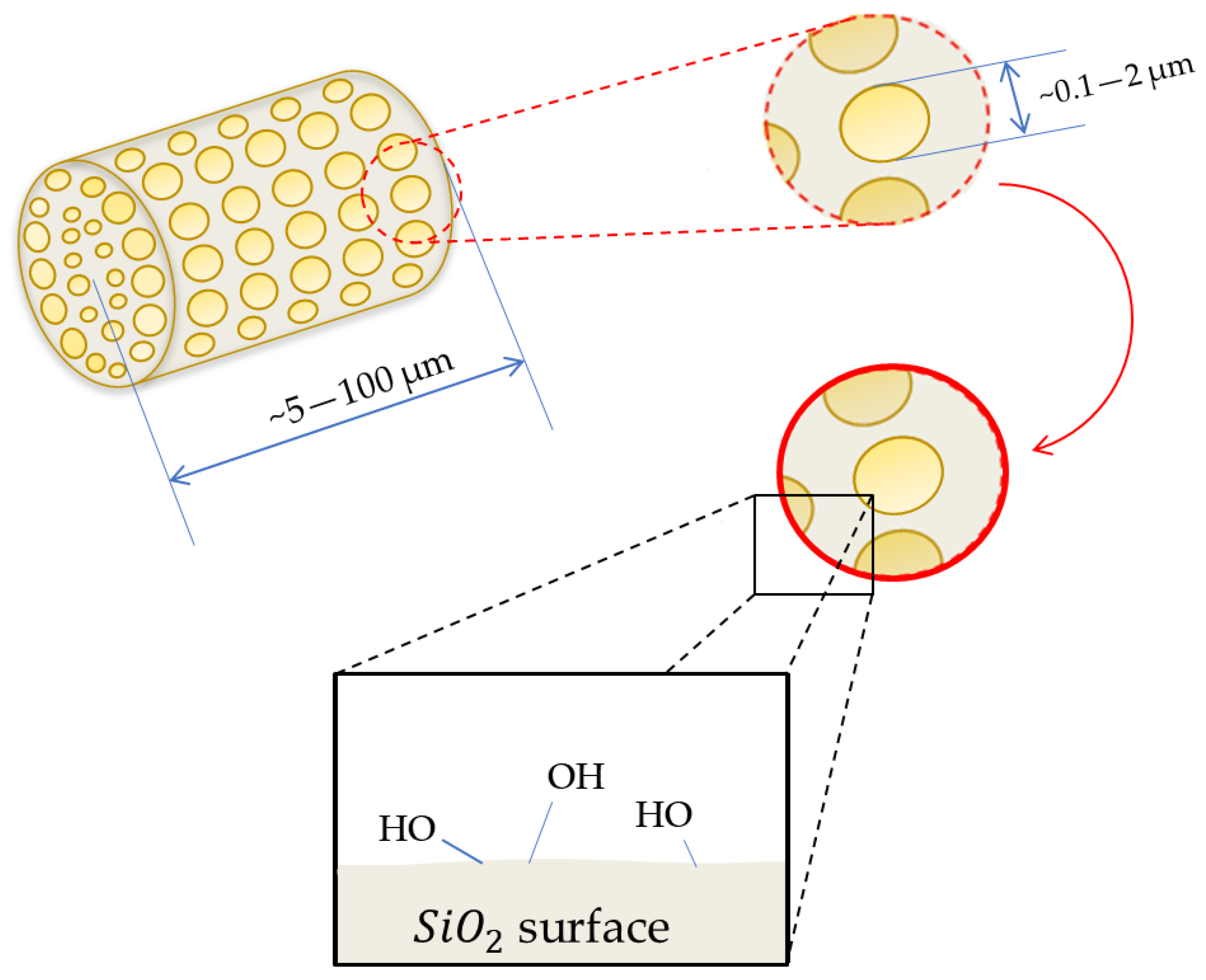 Polyamide 11 Composites Reinforced with Diatomite Biofiller—Mechanical ...