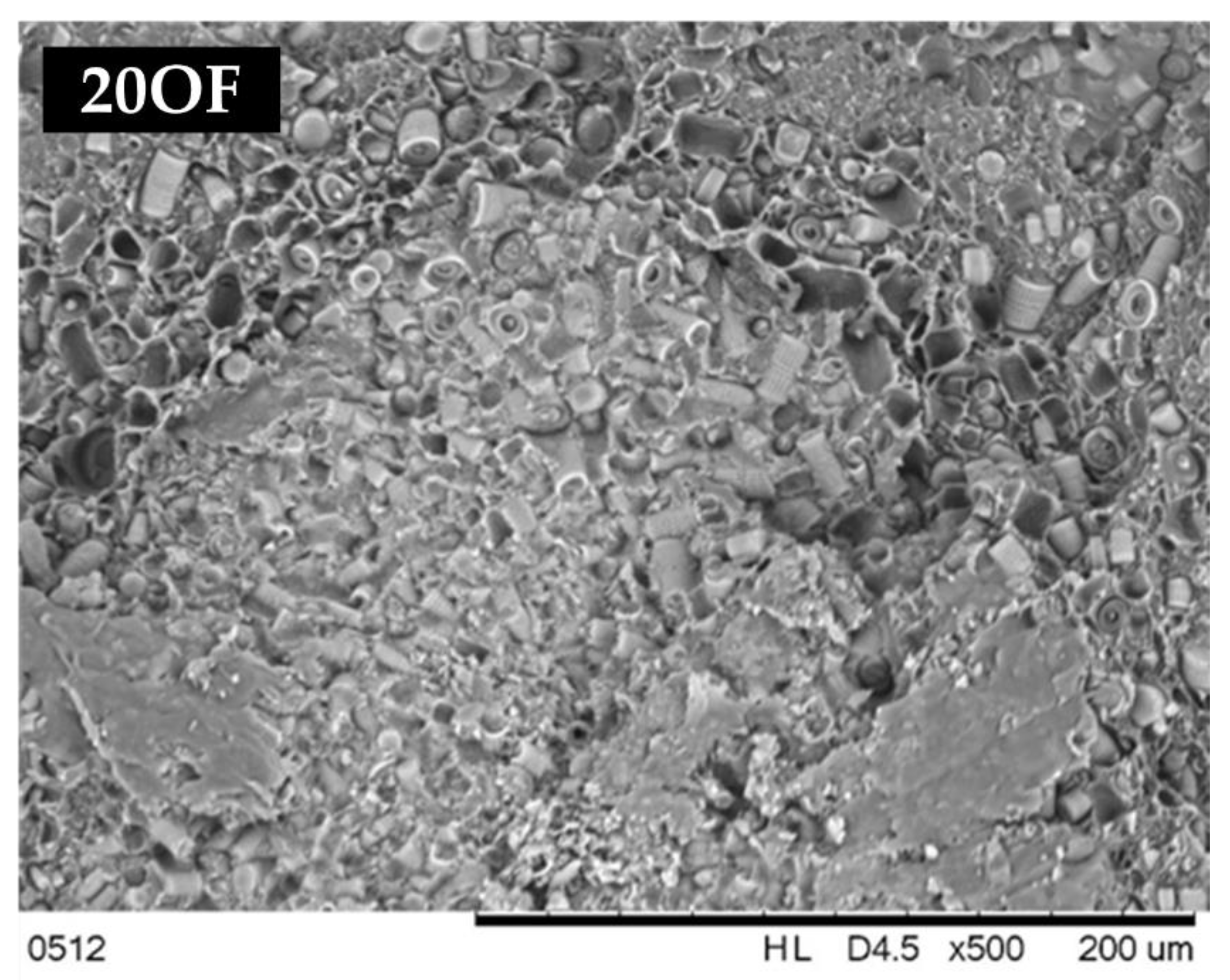Polyamide 11 Composites Reinforced with Diatomite Biofiller—Mechanical ...