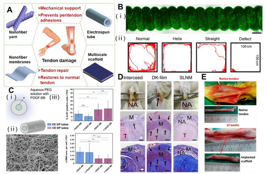 Biodegradable Polymer Electrospinning for Tendon Repairment