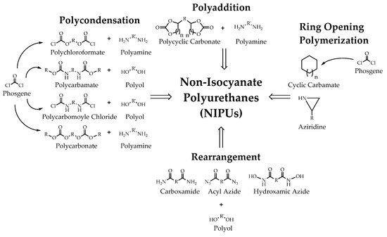 Tailor-Made Bio-Based Non-Isocyanate Polyurethanes (NIPUs)