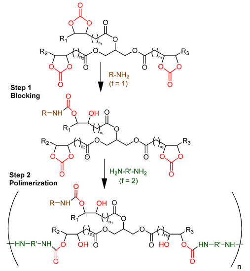 Tailor-Made Bio-Based Non-Isocyanate Polyurethanes (NIPUs)