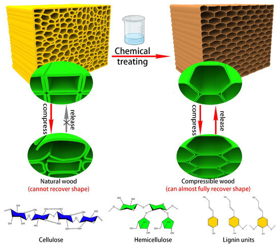 Compressible Cellulose Wood Prepared with Deep Eutectic Solvents and ...