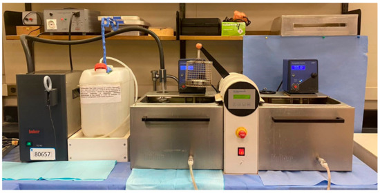 Evaluation of Mechanical Properties of Different Thermoplastic ...