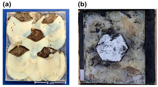 Energy Absorption and Ballistic Performance of Epoxy Composite ...