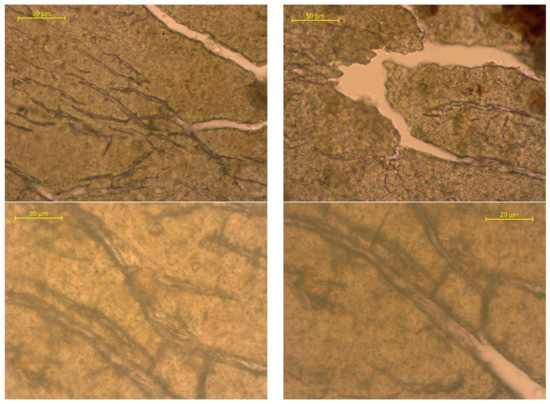 Physical, Mechanical, and Structural Properties of the Polylactide and ...