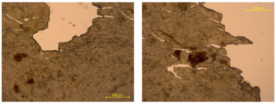 Physical, Mechanical, and Structural Properties of the Polylactide and ...