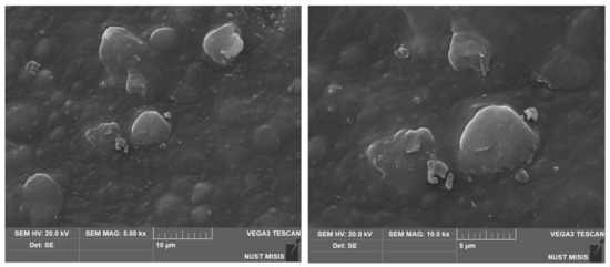 Physical, Mechanical, and Structural Properties of the Polylactide and ...