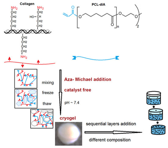 Strategy Based on Michael Addition Reaction for the Development of ...