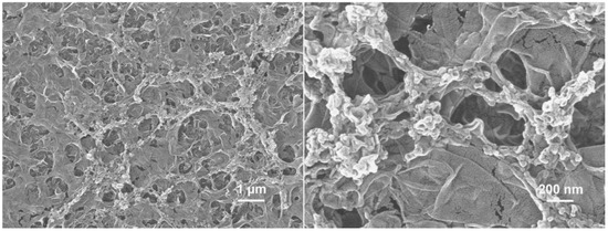 Preparation and Desalination of Semi-Aromatic Polyamide Reverse Osmosis ...