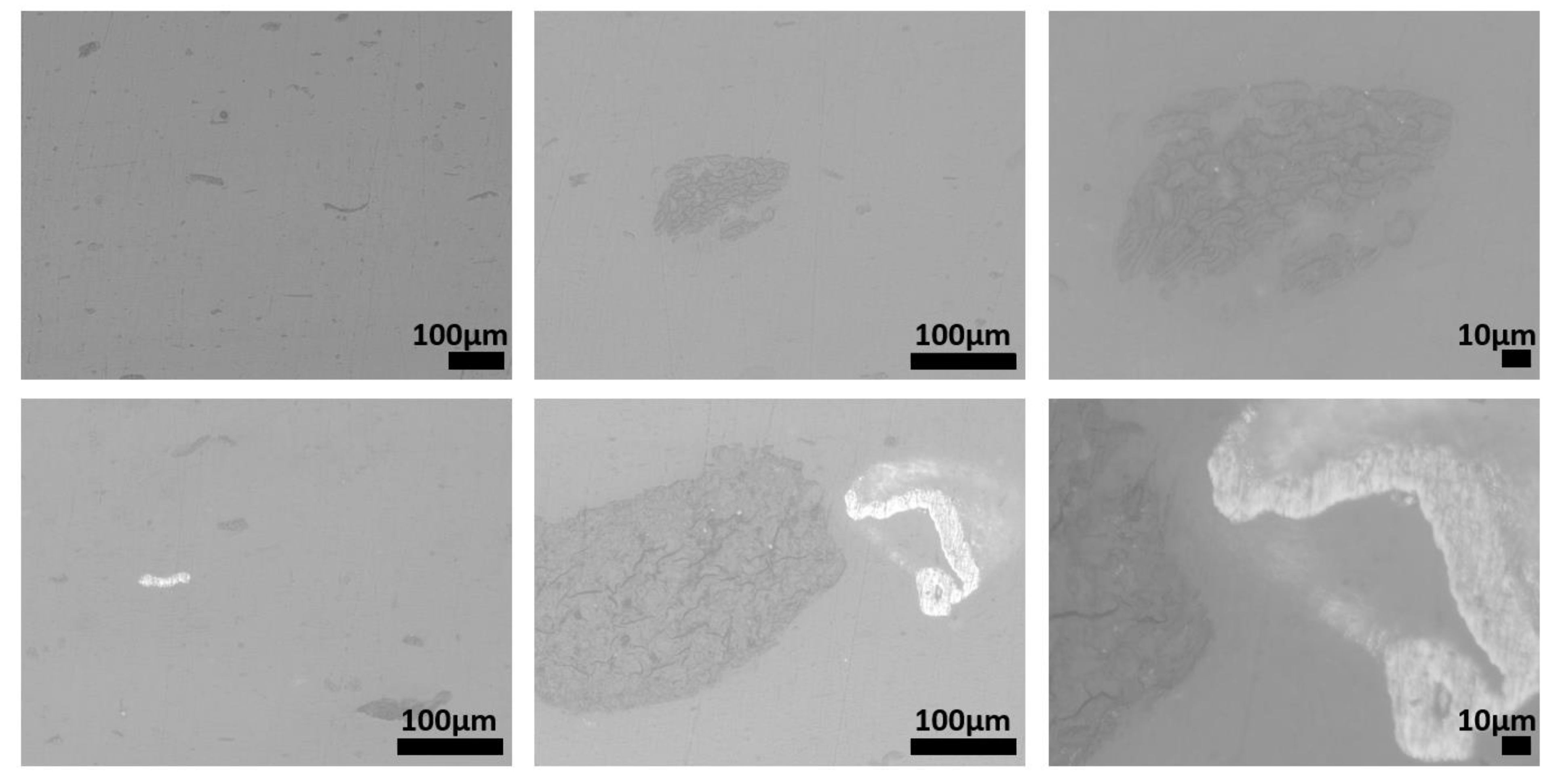 Composition and Workability of Plastic Fractions Recovered from ...