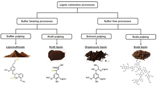 The Biomodified Lignin Platform: A Review