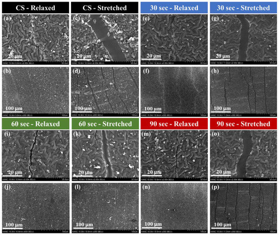 Highly Stretchable PPy/PDMS Strain Sensors Fabricated with Multi-Step ...