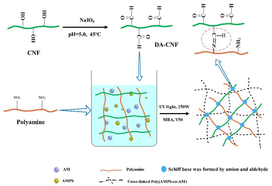 Reinforcement of Nanocomposite Hydrogel with Dialdehyde Cellulose ...