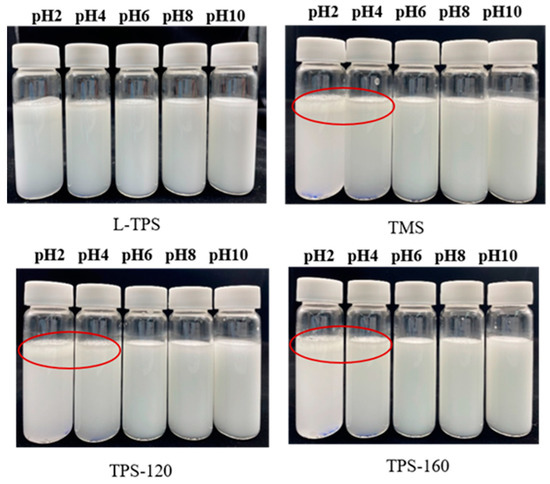 Tremella fuciform Polysaccharides: Extraction, Physicochemical, and ...