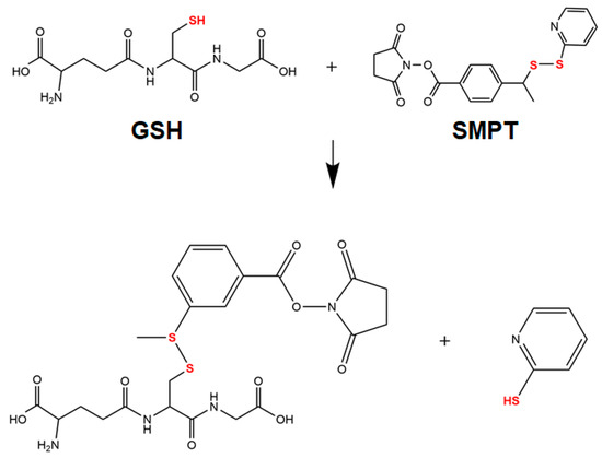 One-Pot Synthesis of Double-Network PEG/Collagen Hydrogel for Enhanced ...