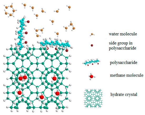 Polysaccharides Are Effective Inhibitors of Natural Gas Hydrate Formation