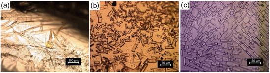 pH-Sensitive Degradable Oxalic Acid Crosslinked Hyperbranched ...