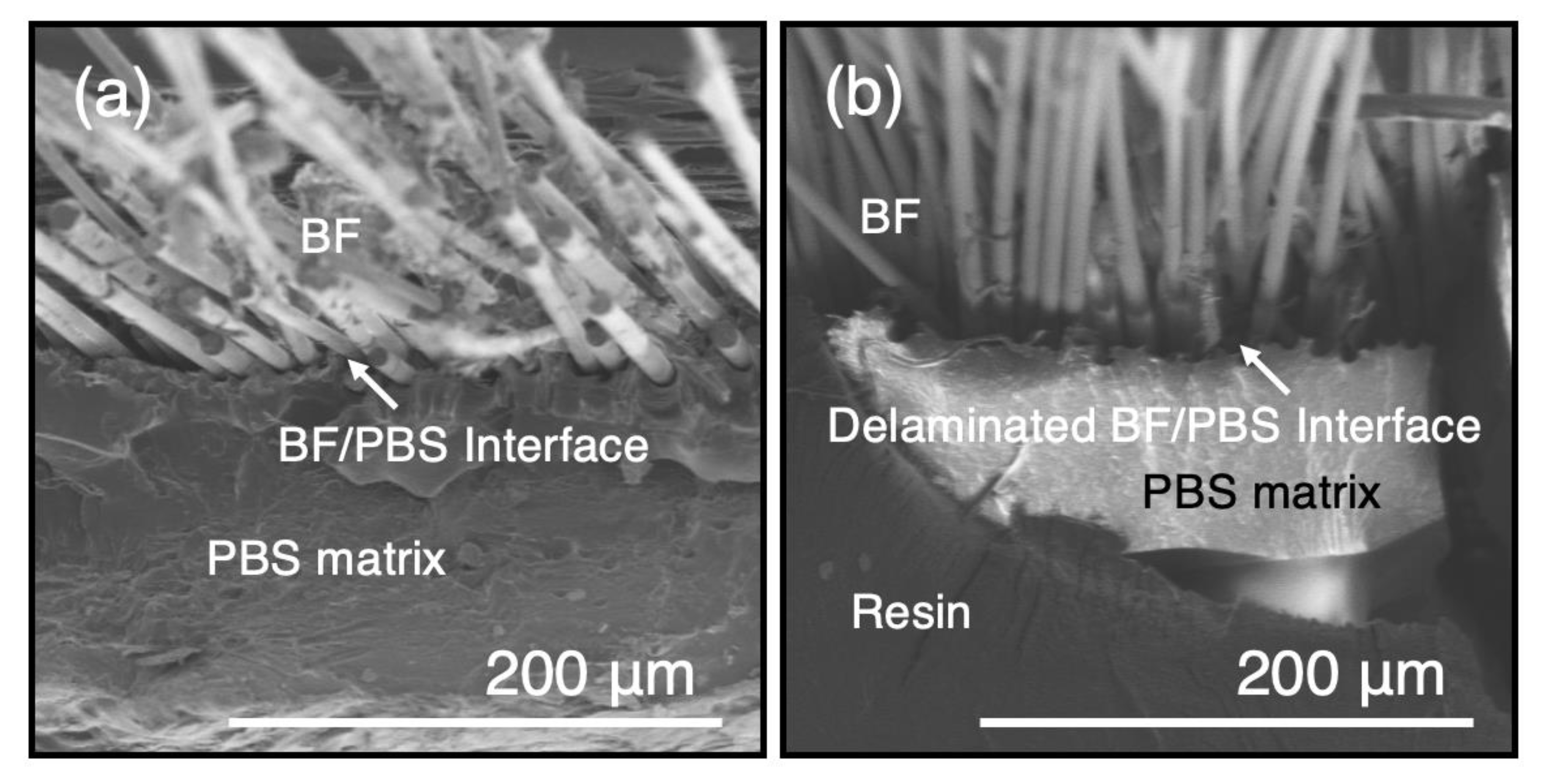 Variation of the Tensile Properties of Basalt-Fiber-Reinforced ...