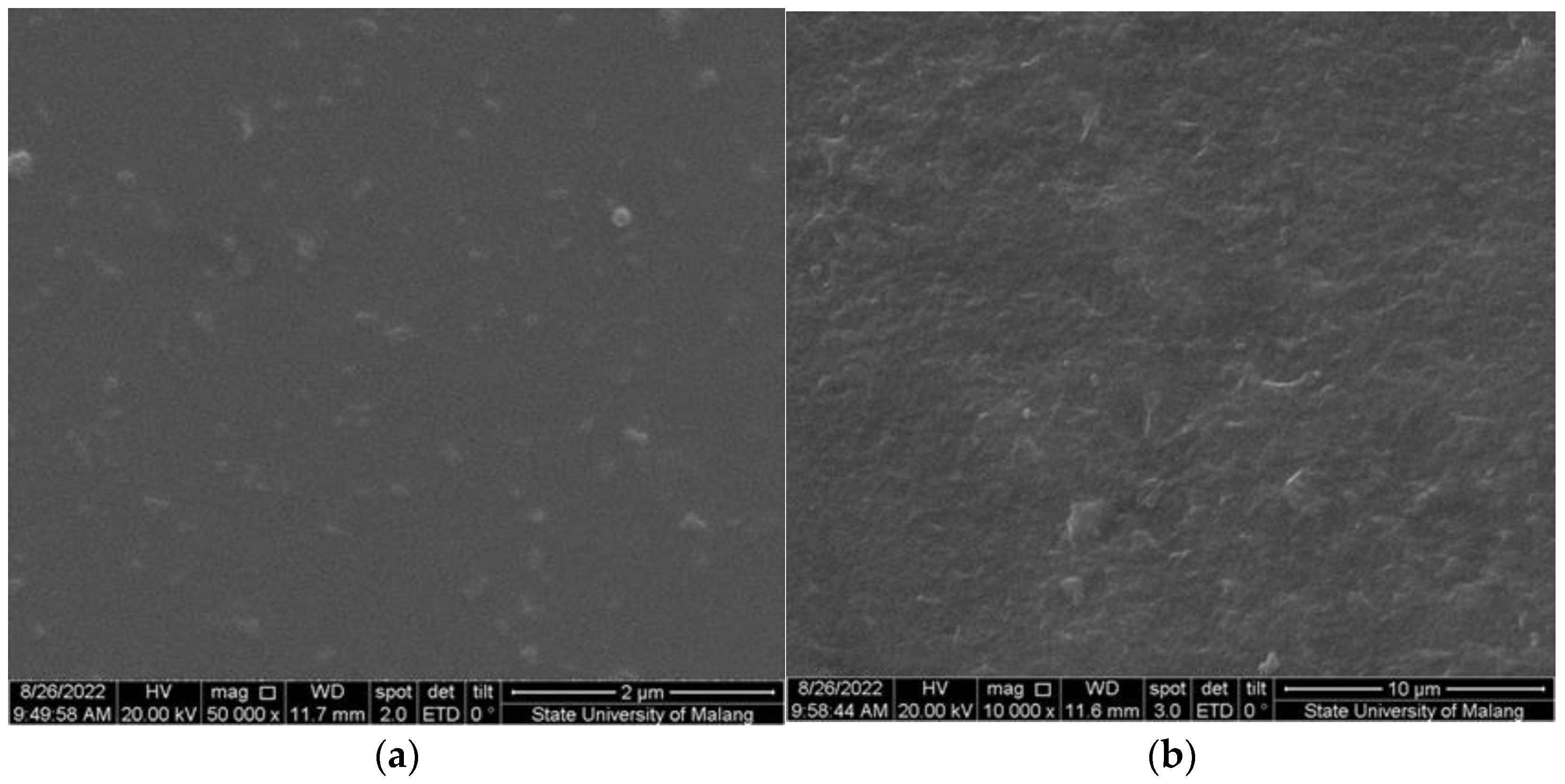 Application of Chitosan-Based Molecularly Imprinted Polymer in ...