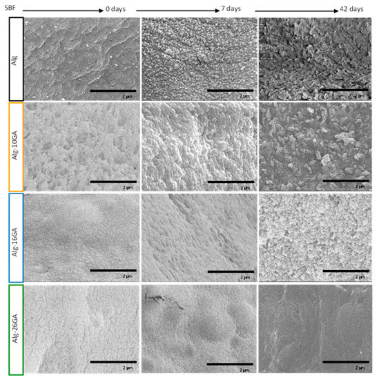 Anionic Polysaccharide Cryogels: Interaction and In Vitro Behavior of ...