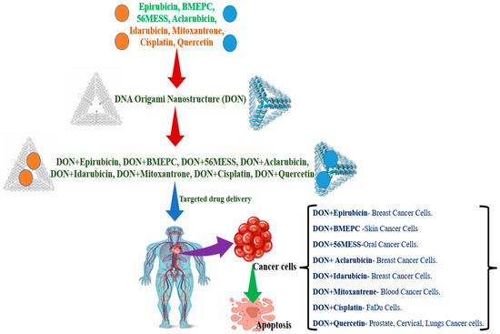 Unravelling the Drug Encapsulation Ability of Functional DNA Origami ...
