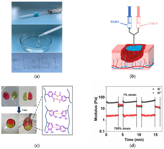 Dynamic Crosslinked Injectable Mussel-Inspired Hydrogels with Adhesive ...