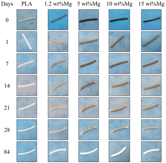 Thermal Properties and In Vitro Biodegradation of PLA-Mg Filaments for ...