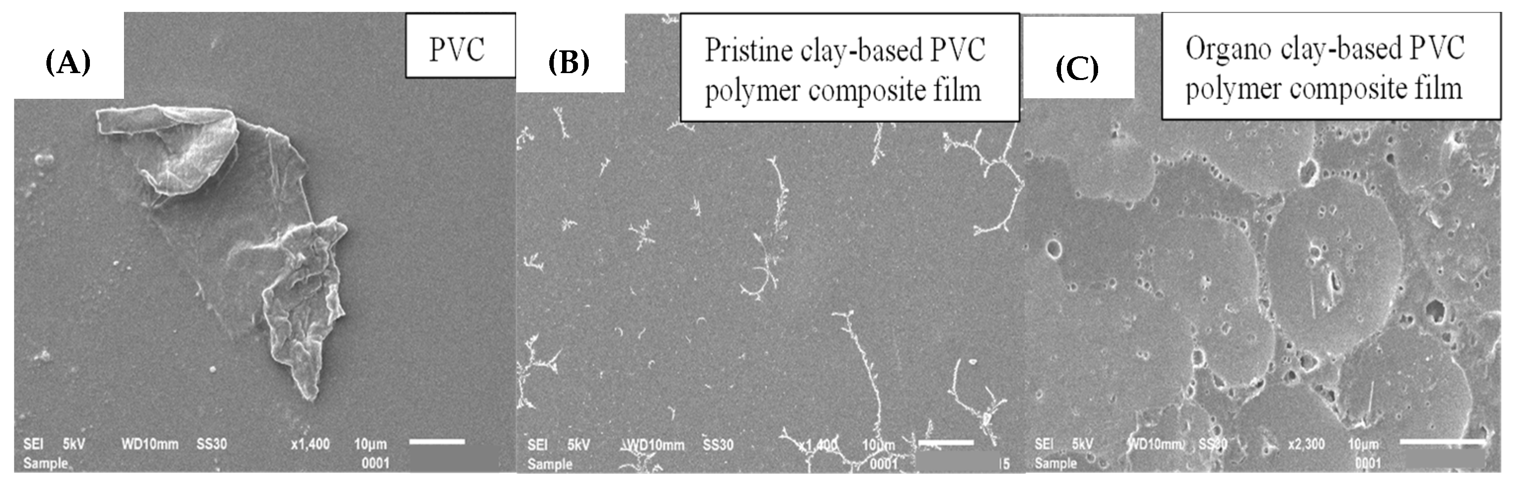 An Investigative Study on the Structural, Thermal and Mechanical ...