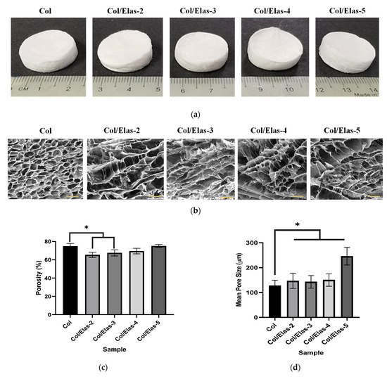 Functionalised Hybrid Collagen-Elastin for Acellular Cutaneous ...