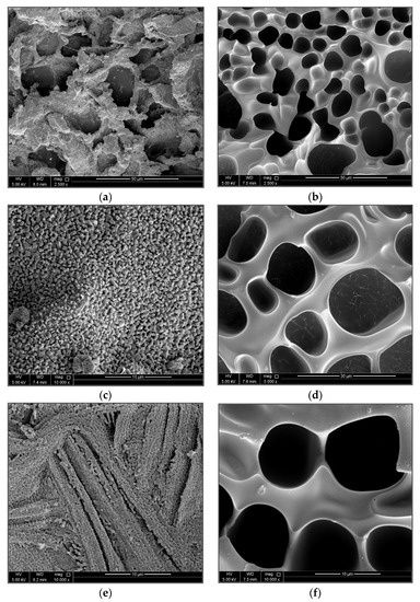 Biodegradable Preformed Particle Gel (PPG) Made of Natural Chitosan ...
