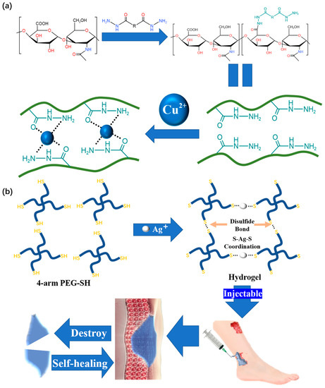 Advances in Functional Hydrogel Wound Dressings: A Review