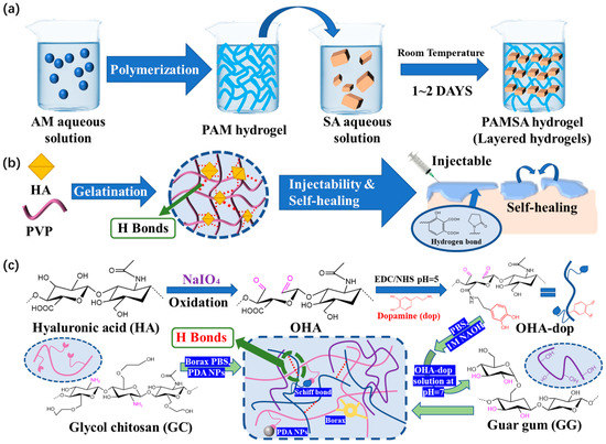 Advances in Functional Hydrogel Wound Dressings: A Review