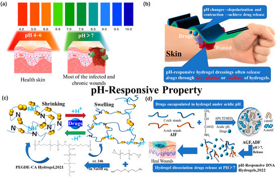 Advances in Functional Hydrogel Wound Dressings: A Review