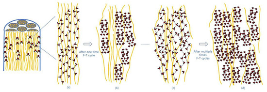 Implication of Freeze–Thaw Erosion and Mechanism Analysis of High ...