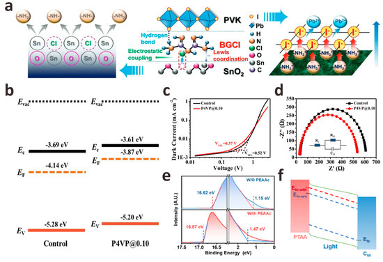 Defect Passivation Scheme toward High-Performance Halide Perovskite Solar Cells